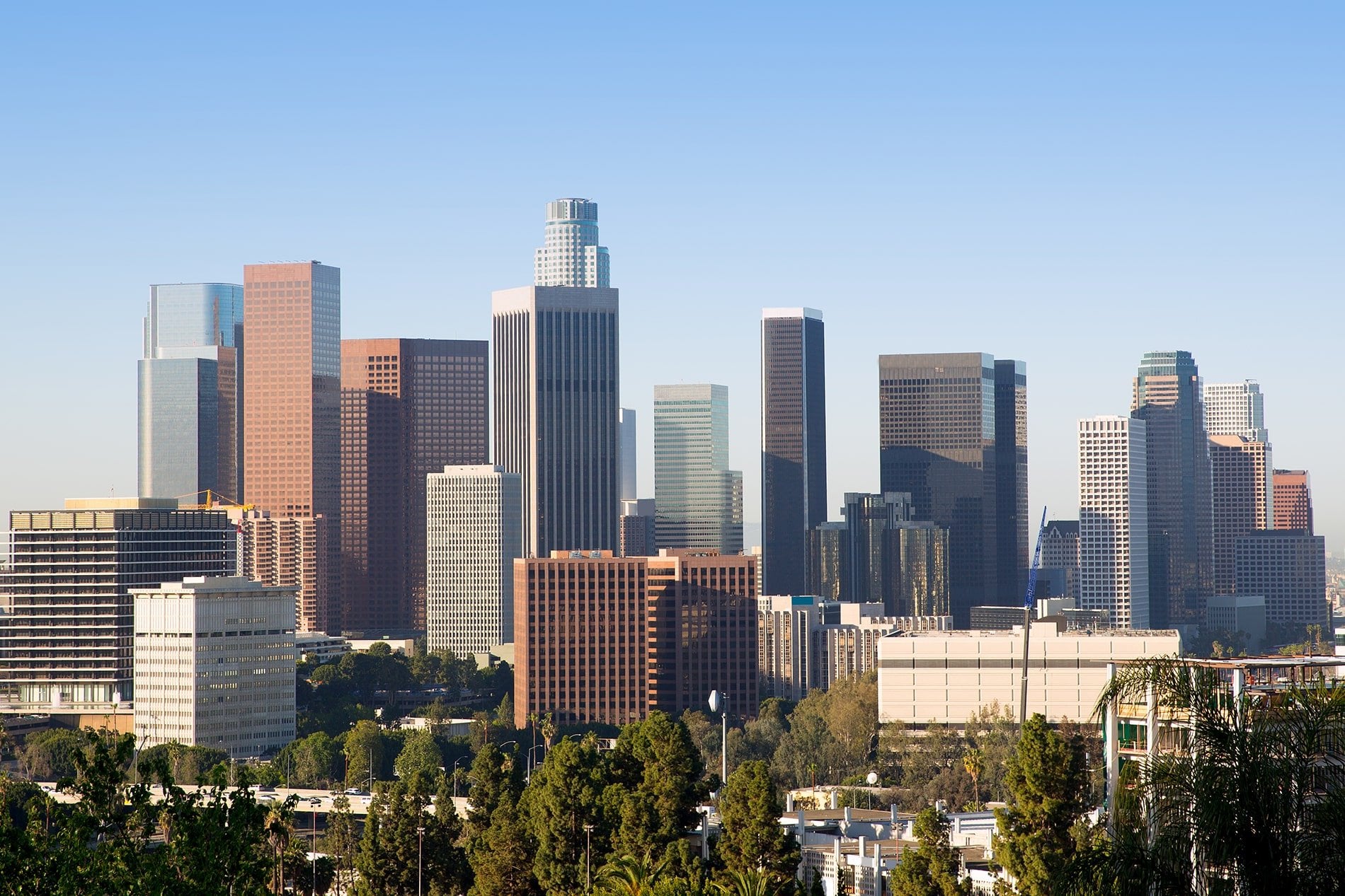 Medical Weight Loss Training Certification | Los Angeles, California